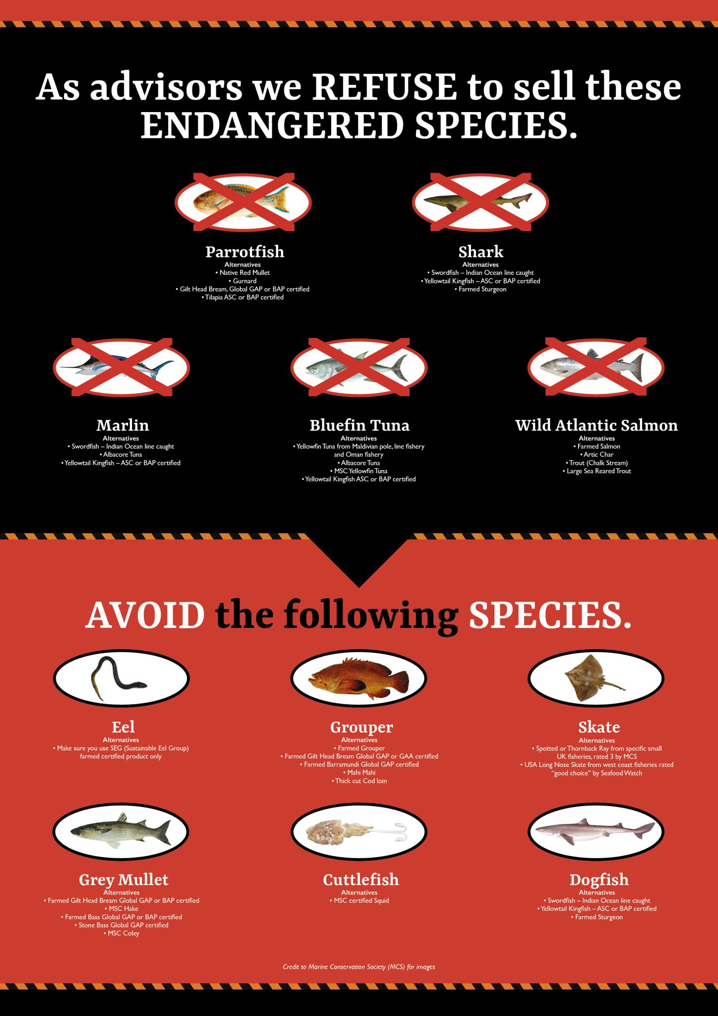 Sustainably Sourced Seafood | Direct Seafoods London : Direct Seafoods ...